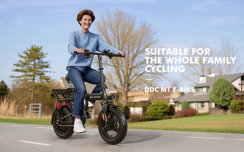 DDC M1 700W 48V/20Ah Electric Bicycle With Removable Battery, Folding ...